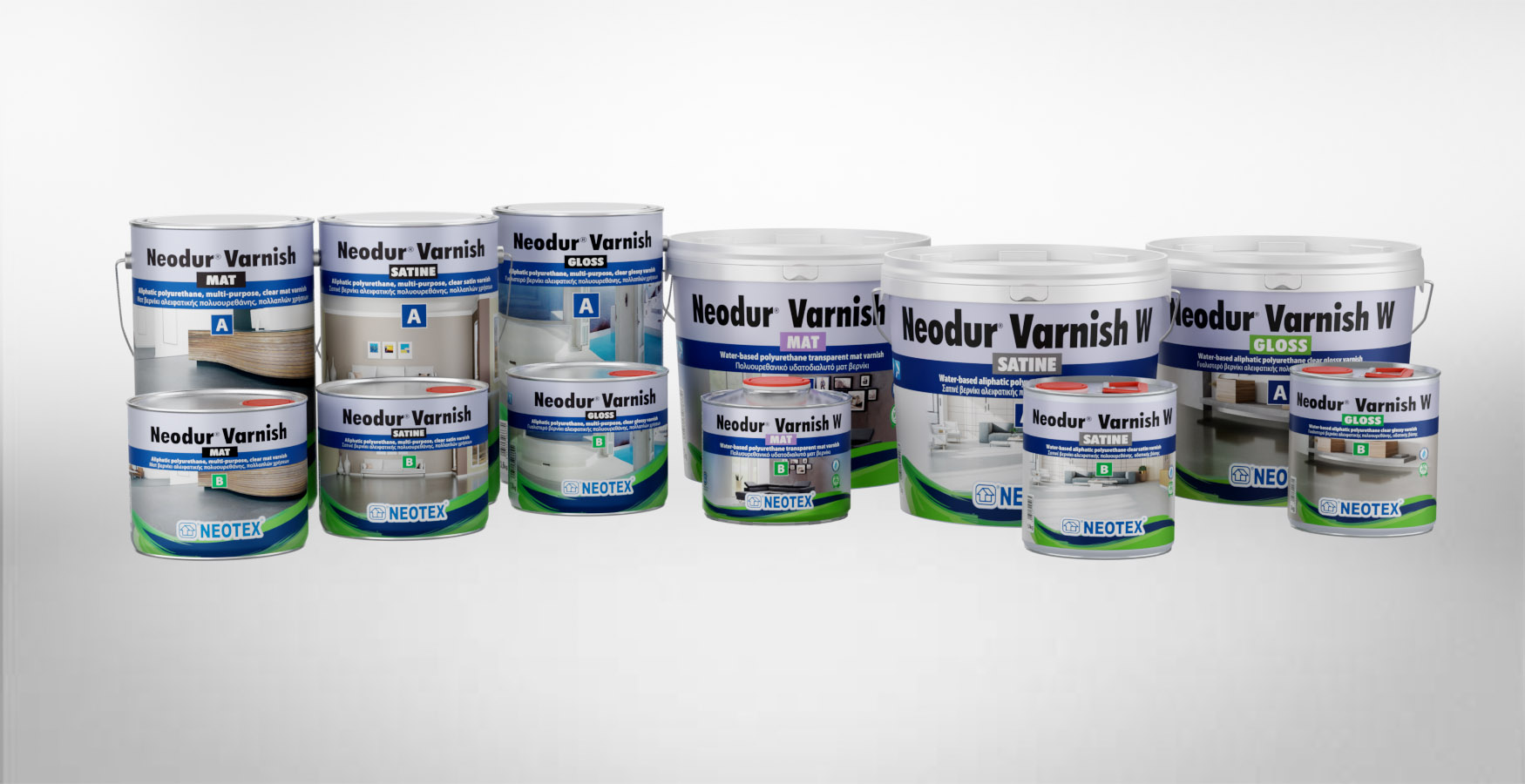 Neodur Stone Varnish